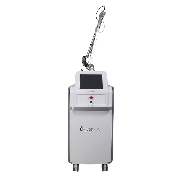 Skin Rejuvenation Professional ND YAG Laser Tattoo Removal Pigment ...